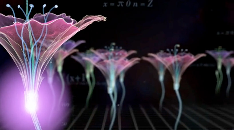 futuristic flowers for panasonic hollywood labs by macoto murayama